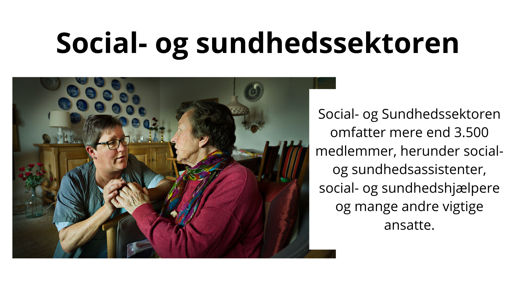 Sektorbestyrelsen i social- og sundhedssektoren | FOA Sønderjylland